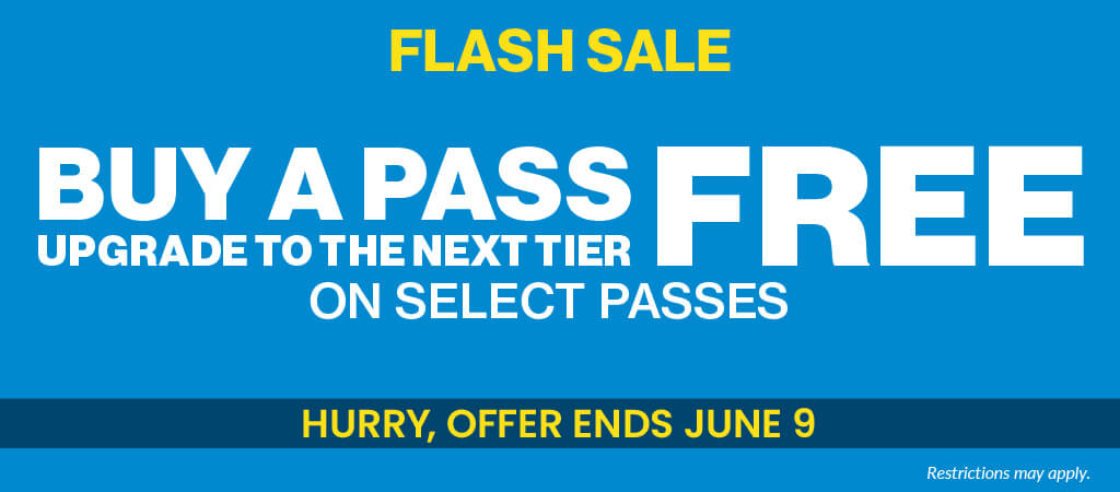 Purchase Water Park Annual Passes | Adventure Island Tampa Bay